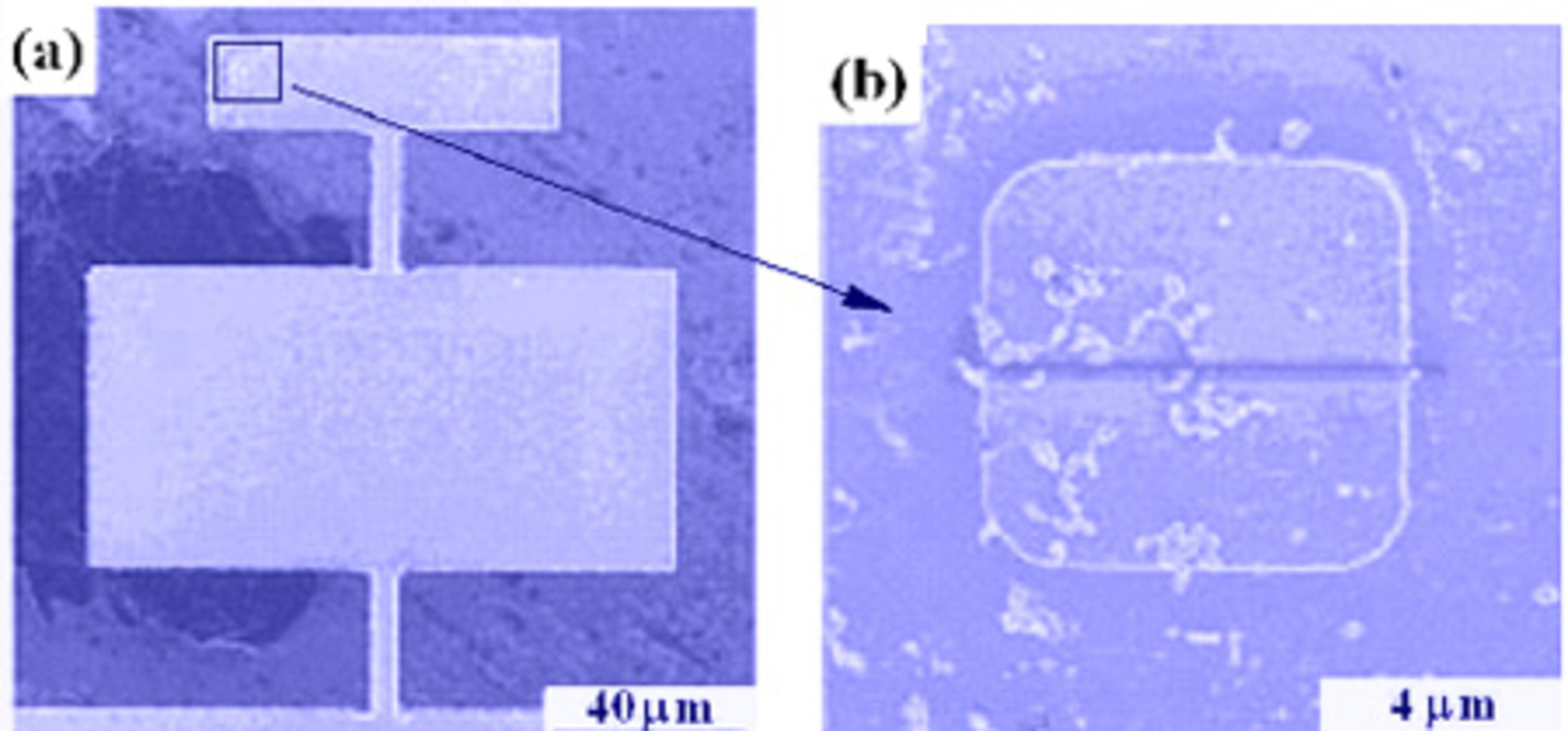Program Highlights: Ultrasensitive Torque Magnetometer | Materials ...